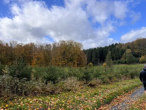 Best Hikes and Trails in Hachiville | AllTrails