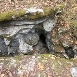 Hickory Ridge Outer Trail, Tennessee - 385 Reviews, Map | AllTrails