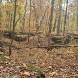 Hickory Ridge Outer Trail, Tennessee - 385 Reviews, Map | AllTrails