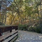 Rock Hollow Trail, Missouri - 1,334 Reviews, Map | AllTrails