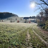 Okehocking Preserve Loop, Pennsylvania - 1,044 Reviews, Map | AllTrails