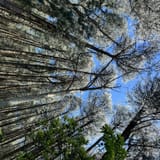 Magoebaskloof Hiking trail, Limpopo, South Africa - 17 Reviews, Map ...