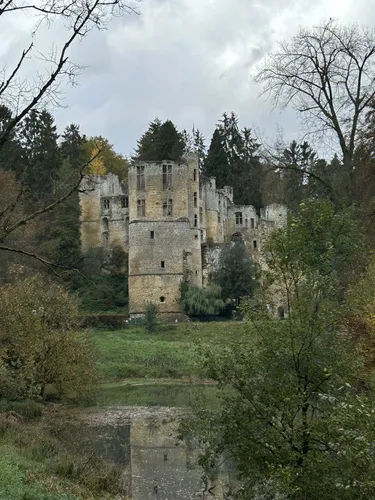 Best Camping Trails in Medernach | AllTrails