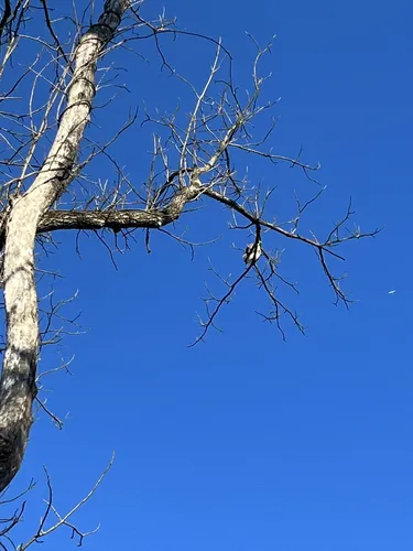 Best Hikes and Trails in George Lorimer Preserve | AllTrails