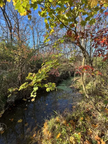 Best Hikes and Trails in George Lorimer Preserve | AllTrails