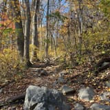 Bear's Den Park Trail, Virginia - 2,478 Reviews, Map | AllTrails