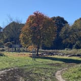 Bluff Point State Park and Coastal Reserve Trail, Connecticut - 3,383 ...