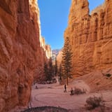 Navajo Loop Trail, Utah - 3,648 Reviews, Map | AllTrails
