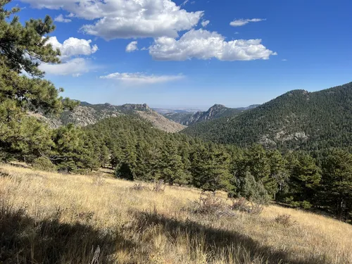 10 Best River Trails in Lyons | AllTrails