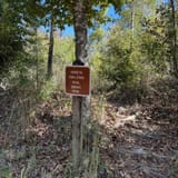 Torreya Trail, Florida - 430 Reviews, Map | AllTrails