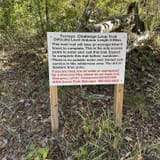Torreya Trail, Florida - 430 Reviews, Map | AllTrails