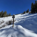 Wheeler Pass Trail, Colorado - 92 Reviews, Map | AllTrails