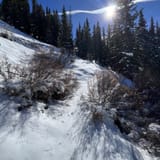 Wheeler Pass Trail, Colorado - 92 Reviews, Map | AllTrails