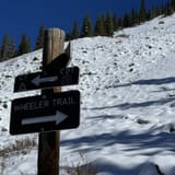 Wheeler Pass Trail, Colorado - 92 Reviews, Map | AllTrails
