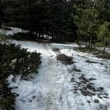 Elk Meadow, Colorado - 1,383 Reviews, Map | AllTrails