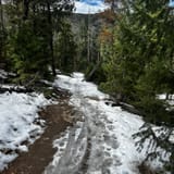 Elk Meadow, Colorado - 1,383 Reviews, Map | AllTrails