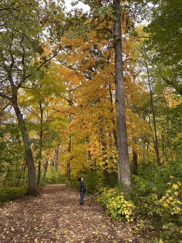Best Hikes and Trails in Minooka County Park | AllTrails