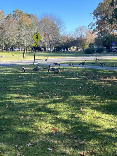 Best Hikes and Trails in Van Saun County Park | AllTrails