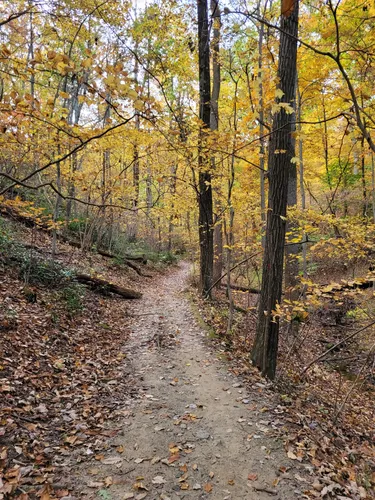 2023 Best Lake Trails in Hunt Valley | AllTrails