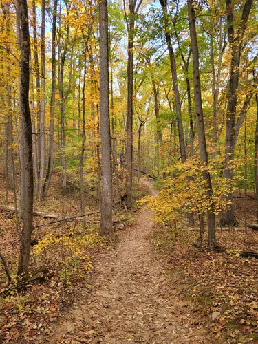 2023 Best Lake Trails in Hunt Valley | AllTrails