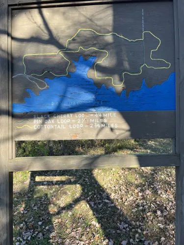 Best Hikes and Trails in Sam Dale Lake State Fish and Wildlife Area ...