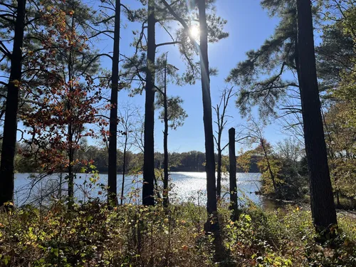 Best Hikes and Trails in Sam Dale Lake State Fish and Wildlife Area ...