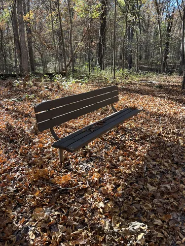 Best Hikes and Trails in Sam Dale Lake State Fish and Wildlife Area ...