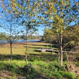 Waughop Lake Loop , Washington - 698 Reviews, Map | AllTrails