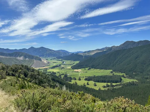 Best Hikes and Trails in Pelorus Bridge Scenic Reserve | AllTrails