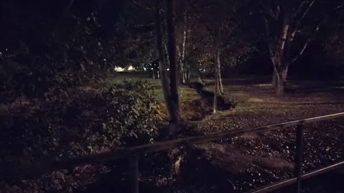 Best Hikes and Trails in Calvin Farmer Park | AllTrails