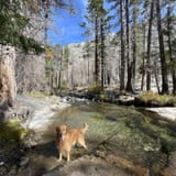 Ropi Lake, California - 488 Reviews, Map | AllTrails