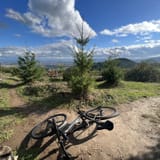 Rocky Point Mountain Bike Trail, Oregon - 81 Reviews, Map | AllTrails