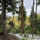 Swauk Forest Discovery Trail, Washington - 434 Reviews, Map | AllTrails