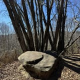 Sam's Knob and Little Sam Loop, North Carolina - 506 Reviews, Map ...