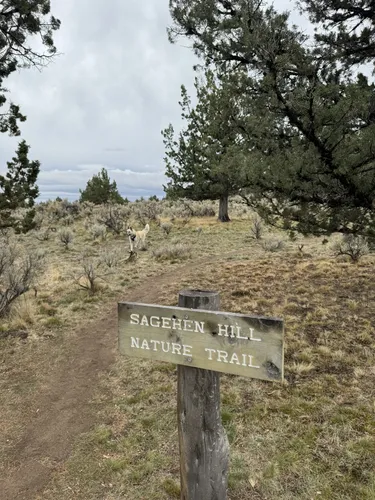 Best Hikes and Trails in Hines | AllTrails