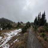 Skyline Loop, Washington - 14,768 Reviews, Map | AllTrails