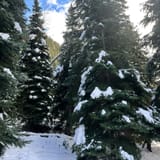 Booth Falls, Colorado - 5,112 Reviews, Map | AllTrails
