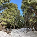 Booth Falls, Colorado - 5,112 Reviews, Map | AllTrails