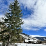 Booth Falls, Colorado - 5,112 Reviews, Map | AllTrails