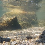 Marlette Lake Trail from Spooner Lake, Nevada - 1,125 Reviews, Map ...