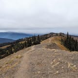 Mount Angeles via Klahhane Ridge Trail, Washington - 1,000 Reviews, Map ...