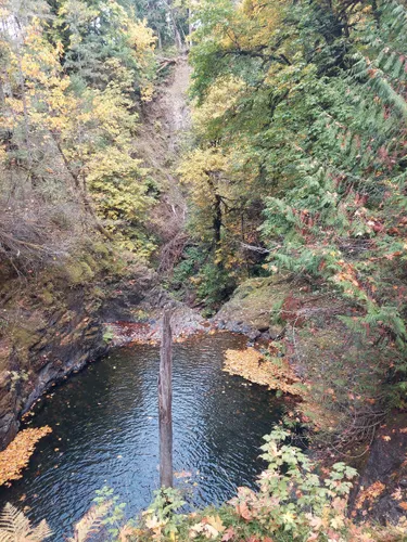 2023 Best River Trails in Nanoose | AllTrails