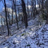 Mount Hor Trail, Vermont - 203 Reviews, Map | AllTrails