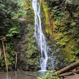 Madison Falls Trail, Washington - 1,529 Reviews, Map | AllTrails