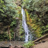 Madison Falls Trail, Washington - 1,529 Reviews, Map | AllTrails