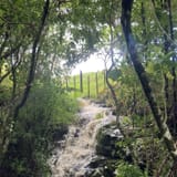 Waitangi to Haruru Falls Walk, Northland, New Zealand - 282 Reviews ...