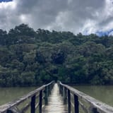 Waitangi to Haruru Falls Walk, Northland, New Zealand - 282 Reviews ...