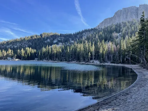 10 Best Hikes and Trails in Inyo National Forest | AllTrails