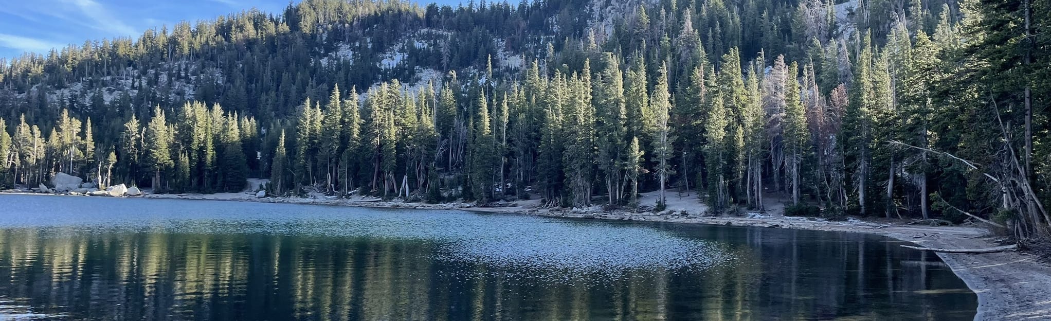 McLeod Lake Trail, California - 827 Reviews, Map | AllTrails
