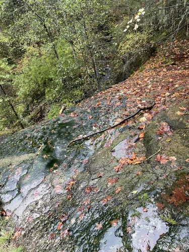 2023 Best Forest Trails in Eagle Point | AllTrails